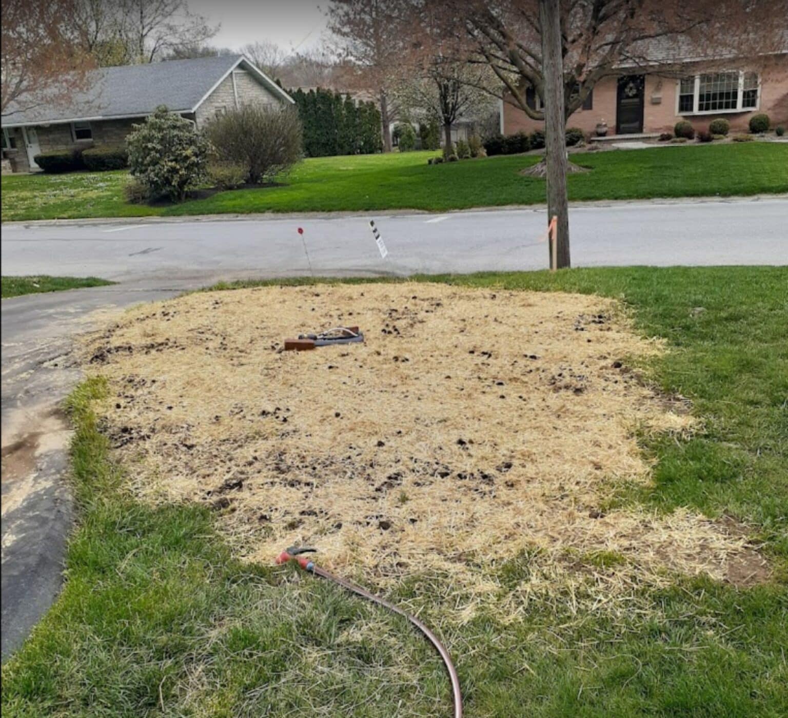 Tree Roots and Foundation Or Sidewalk Damage: What Homeowners in PA ...